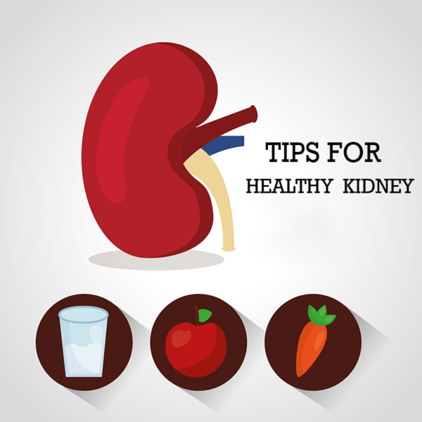 10 Ways to Keep Your Kidneys Healthy | Dr.Irfan Shaikh | Urolife Clinic ...