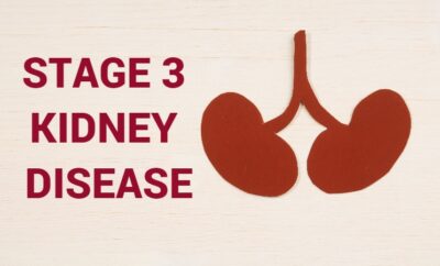 Everything You Should Know About Stage 3 Kidney Disease -Urolife Clinic